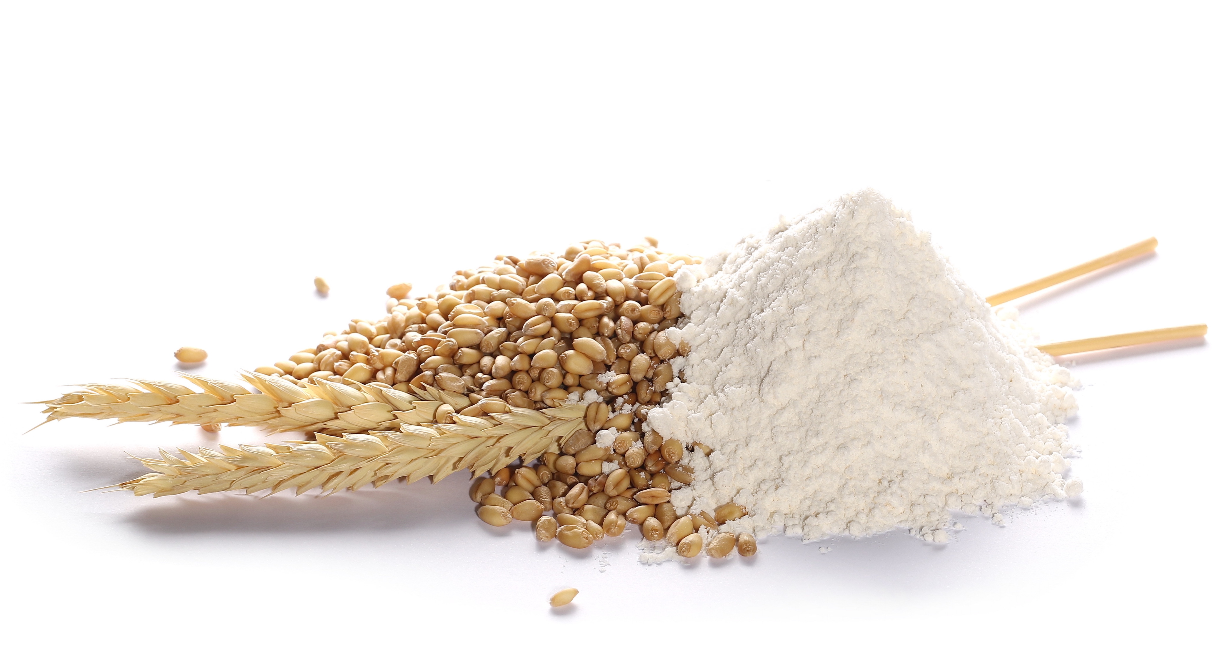 Products | Oils and Grains